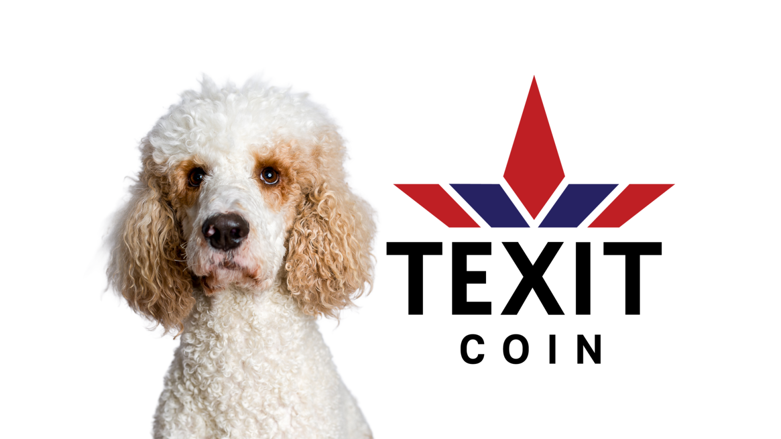 TEXITcoin (TXC): A Comprehensive Guide to Joining and Trading ...